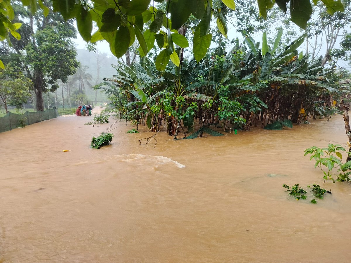 Nilgiris: இடைவிடாது கொட்டித்தீர்க்கும் கனமழை... வெள்ளக்காடான‌ பந்தலூர் ...