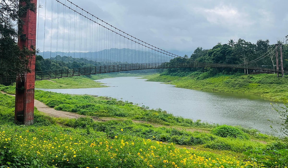 கேரளா: 'இவளானு இவளானு மிடுமிடுக்கி..!' - பந்தளம் தொங்கு பாலம் | Photo ...