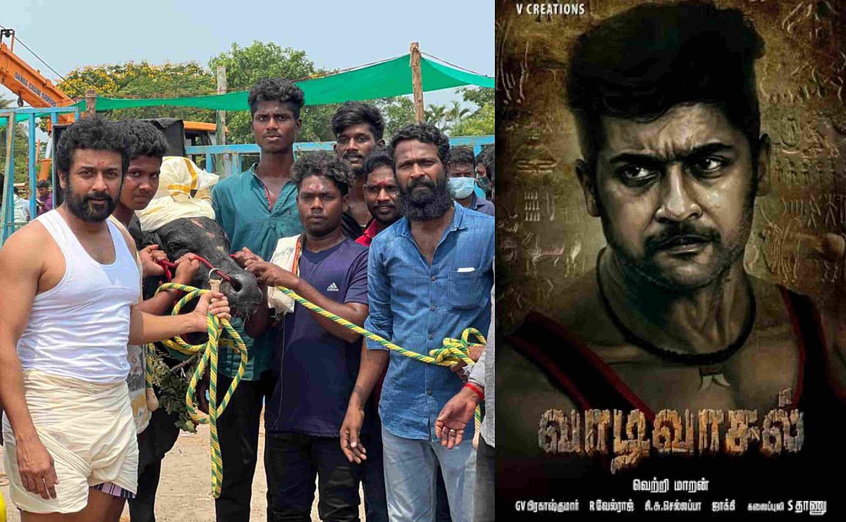 Vadivasal: வெற்றிமாறன் - சூர்யா கூட்டணியின் 'வாடிவாசல்' எப்போது ...
