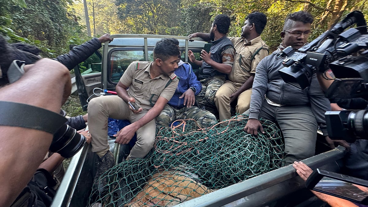 வயநாடு: துப்பாக்கிச்சூட்டில் தப்பிய புலி, சடலமாக கண்டெடுப்பு ...