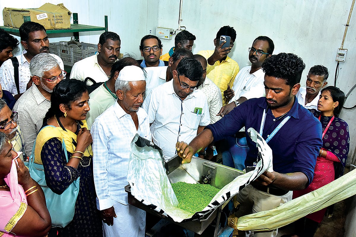Pasumai Vikatan - 25 February 2025 - ஏக்கருக்கு ரூ.6 லட்சம் ...