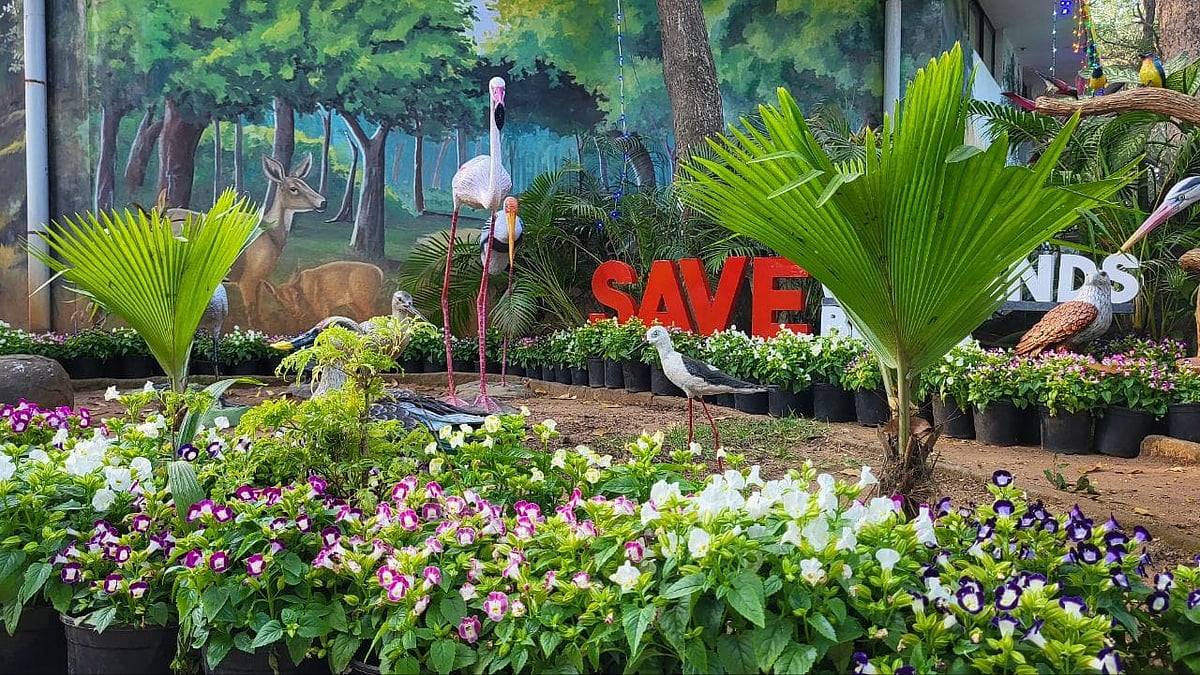 36,000 மலர்ச் செடிகள்; காய், கனிகள்... புதுச்சேரி அரசின் மலர் கண்காட்சி ...