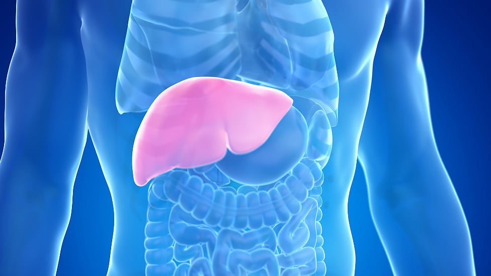 Liver Protection: What to Eat & What to Avoid – A Simple Guide ...