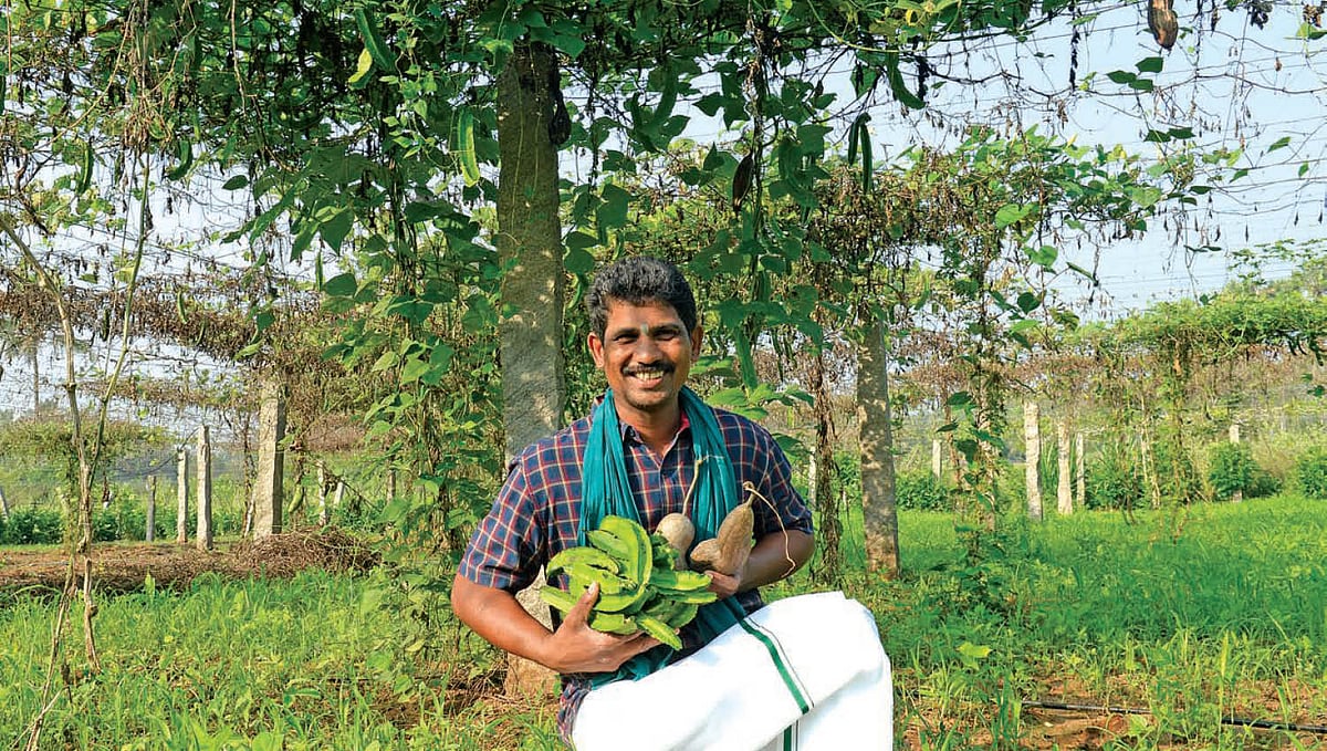 Pasumai Vikatan - 25 January 2026 - 60 சென்ட், மாதம் ரூ.30,000; சிறகு ...