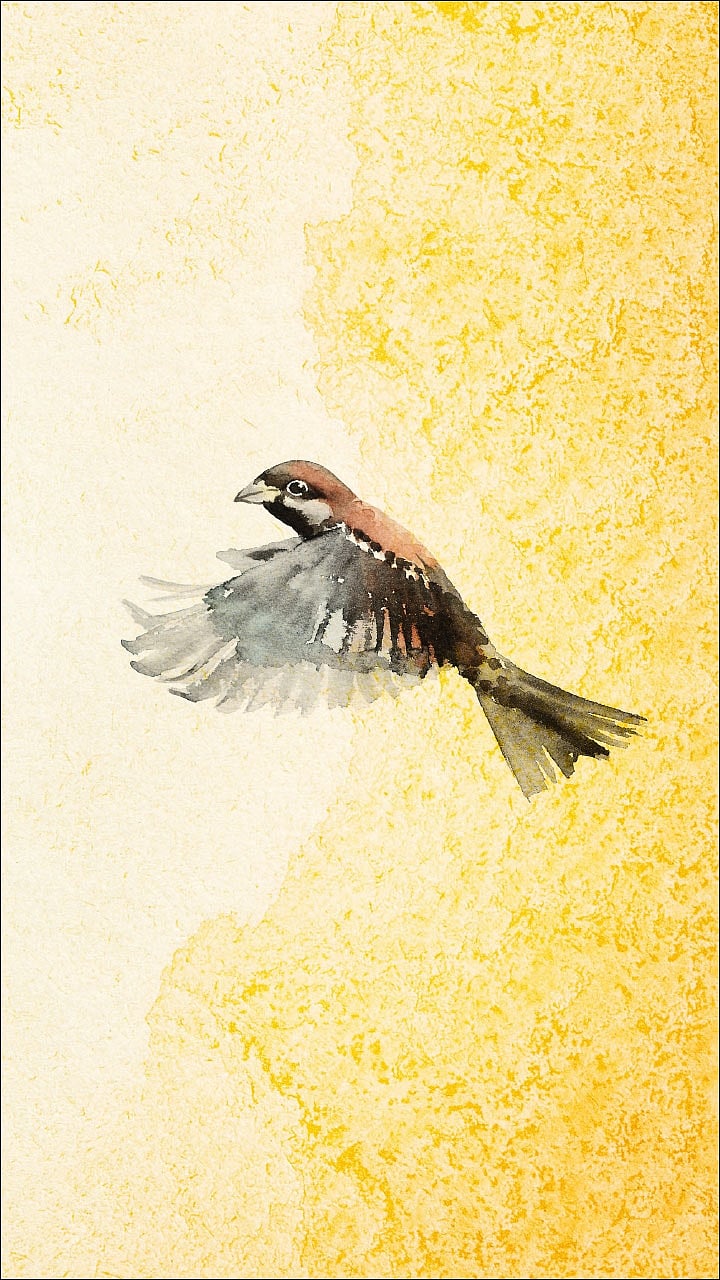 Thadam Vikatan - 01 September 2017 - கடைசித் தீர்ப்பு நாள் ...