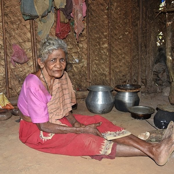 வயது 105... வாழ்வது காட்டுக்குள்... வியக்கவைக்கும் காணி பழங்குடி பாட்டி ...