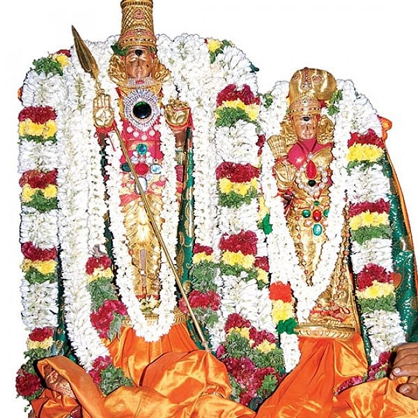 முருகப்பெருமான் தெய்வானை திருமணம் இன்று | lord murugan devasena ...