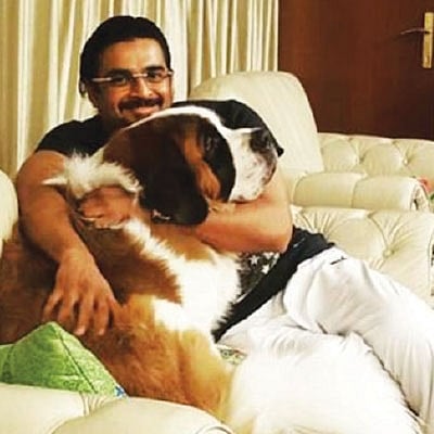 Timepass Vikatan - 08 October 2016 - லொள்ளு செல்லங்கள்! | Pet animals ...