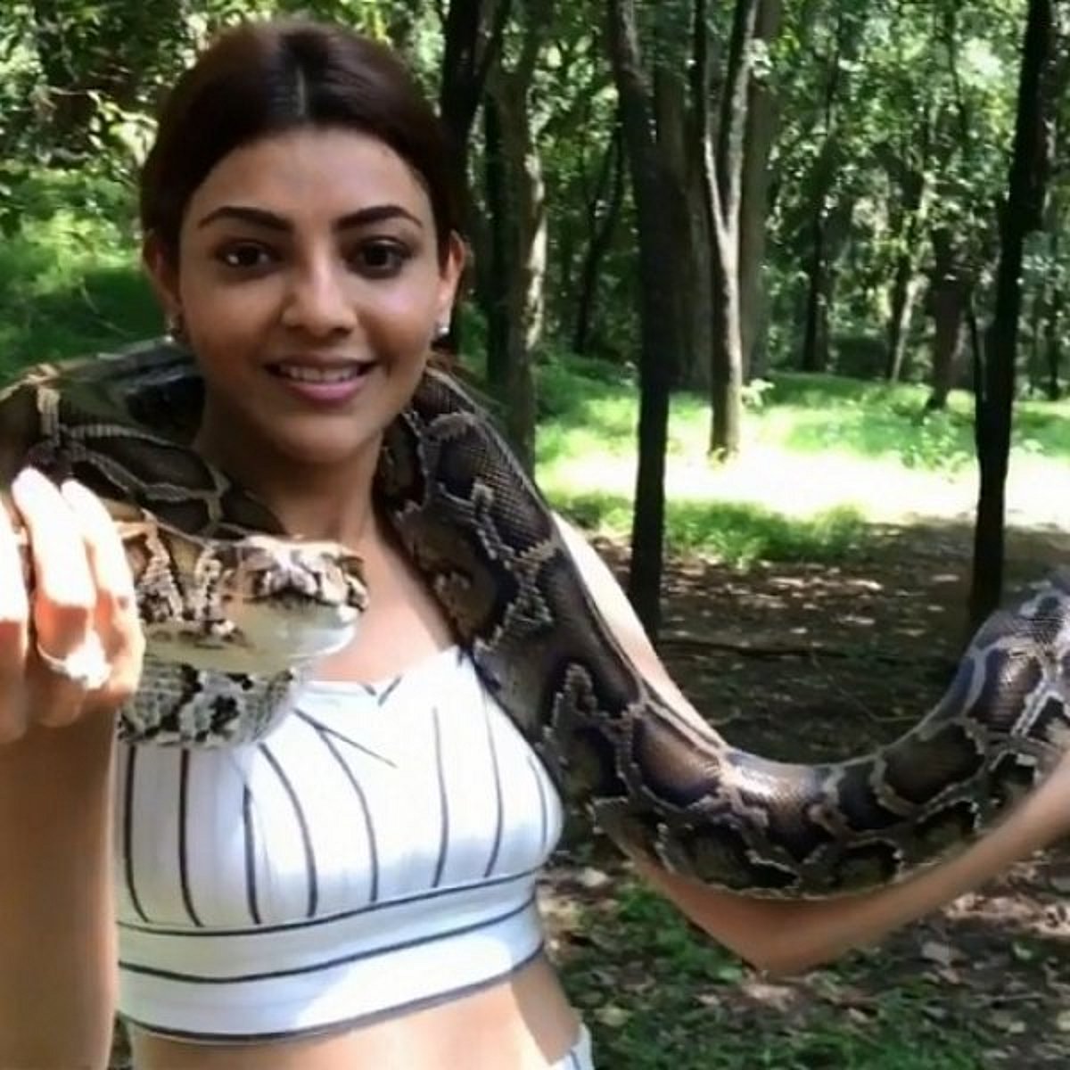 மலைப்பாம்புடன் காஜல் அகர்வால்..! வைரல் வீடியோ | kajal agarwal with python viral video - Vikatan