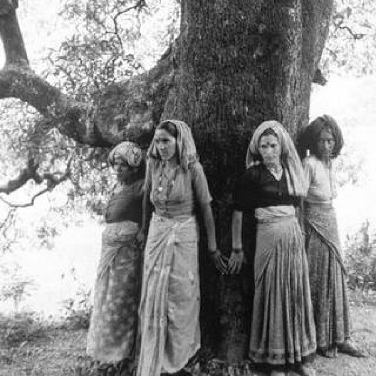 மரங்களை வெட்டாமல் தடுத்த சிப்கோ பெண்களின் புது வியூகம்! #ChipkoMovement ...