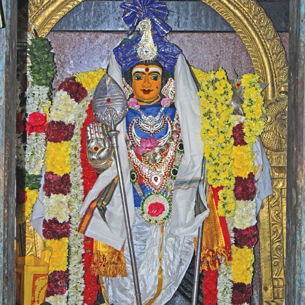 Sakthi Vikatan - 29 January 2019 - தைப்பூச தரிசனம்! - குழந்தை வரம் ...