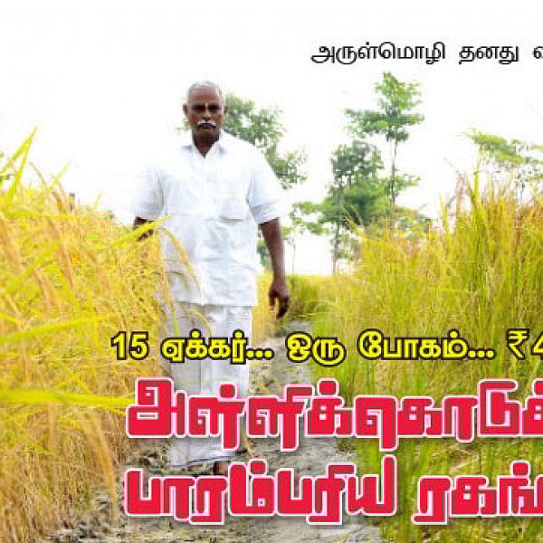 These traditional varieties yield more and more | These traditional ...