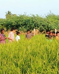 ஏட்டுச்சுரைக்காய்க்கு இங்கே வேலை இல்லை..! | Marutham Farm school ...