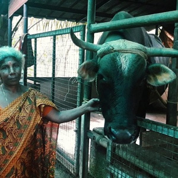 “நாகராஜா இவ்விட இருந்து போ. சமயம் ஆகி வா” பாம்புக்கு உத்தரவு போடும் ...