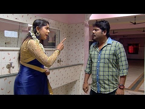 Priyamanaval Episode 611, 19/01/17 - Vikatan
