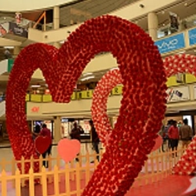 தாமரை பாடல்களின் காதல் வரிகளோடு தொடங்கட்டும் இந்நாள்! | Start a day ...