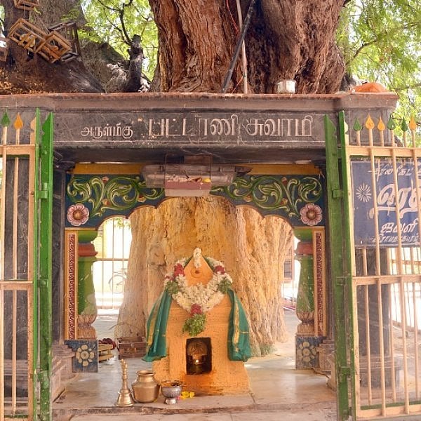 பட்டாணி ராவுத்தர் காவல்காக்கும் ஆதிகோரக்கநாதர்... திருபுவனத்தில் ...