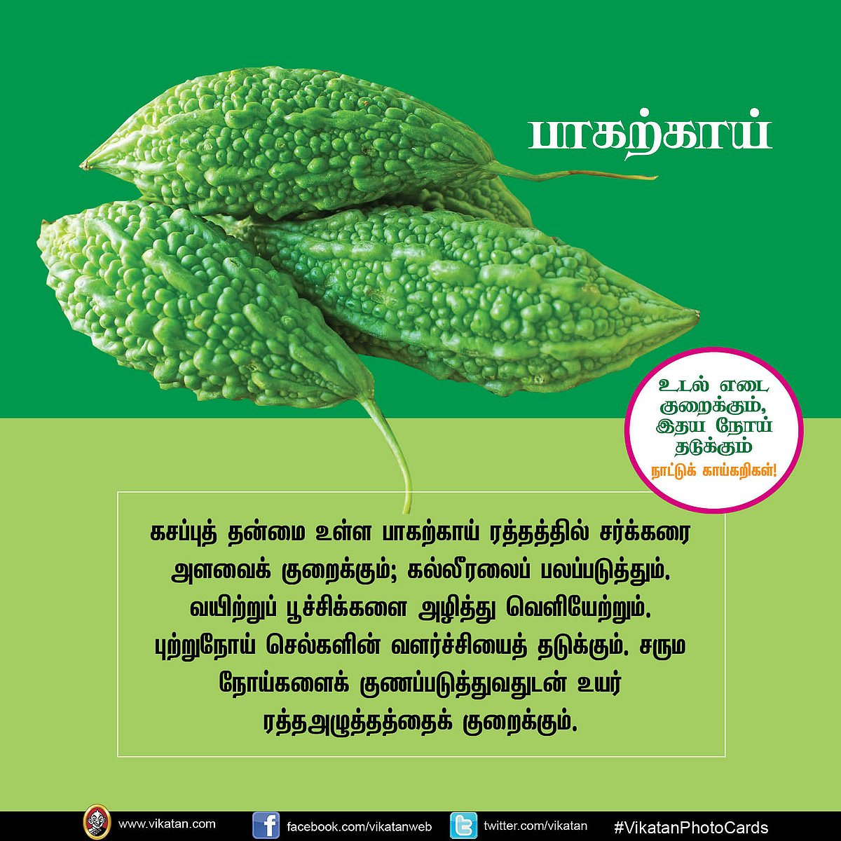 சுரைக்காய், பீர்க்கங்காய், வெண்டைக்காய்... நலம் காக்கும் ...