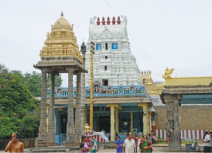 Sakthi Vikatan - 16 July 2019 - கலியுகத்தின் கற்பக விருட்சம்! | karpaga ...