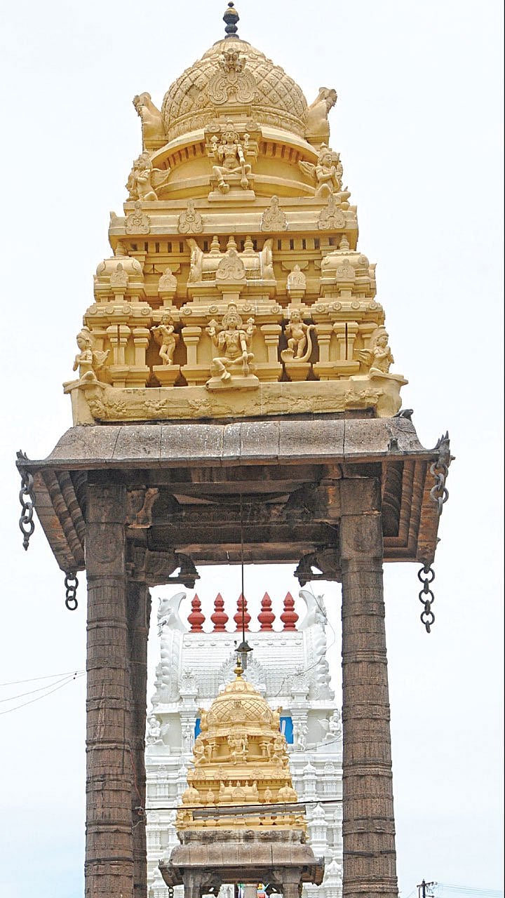 Sakthi Vikatan - 16 July 2019 - கலியுகத்தின் கற்பக விருட்சம்! | karpaga ...