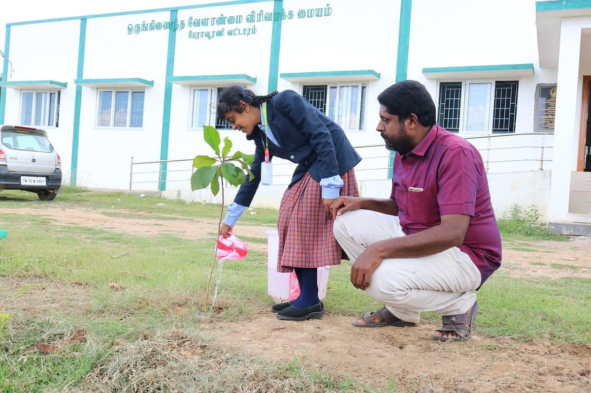 `இதை நிறுத்த மாட்டேன்; என்னைபோல் இந்த மரக்கன்றும் வளர வேண்டும் ...