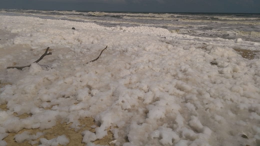ஸ்ரீனிவாசபுரம் கடற்கரையை மூடிய நுரை! - வேதிப்பொருள் அச்சத்தில் மக்கள் ...