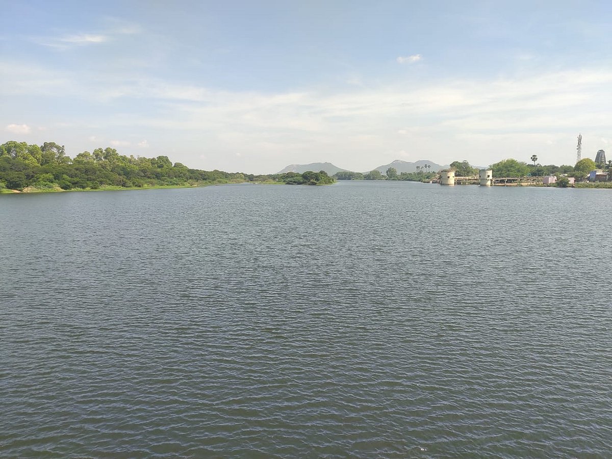 Thamirabarani River | Thamirabarani River Latest Tamil News Updates ...