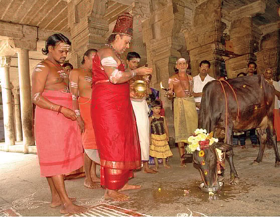 Sakthi Vikatan - 19 May 2020 - சகலமும் அருள்வாள் கோமாதா!|Devotional ...