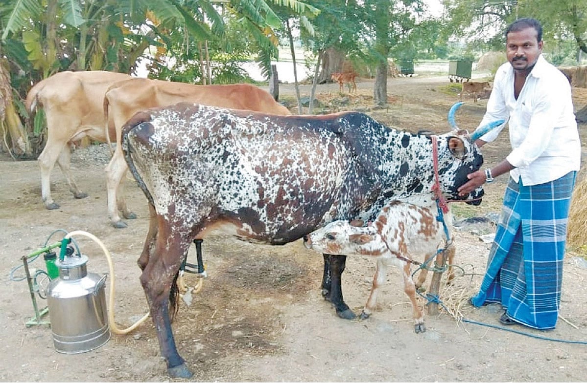 "இப்போதான் புரிஞ்சுது!" - விவசாயிகளைக் கைவிட்ட தனியார் நிறுவனங்கள் ...
