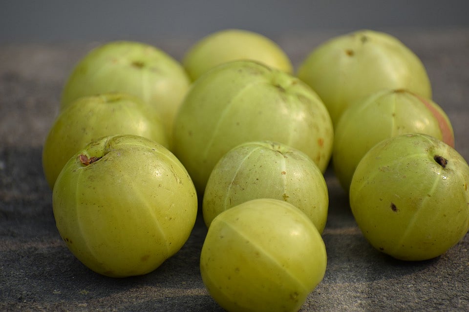 Health: பெரிய நெல்லிக்காய் சாப்பிட்டால் சளி பிடிக்குமா? - உண்மை என்ன ...