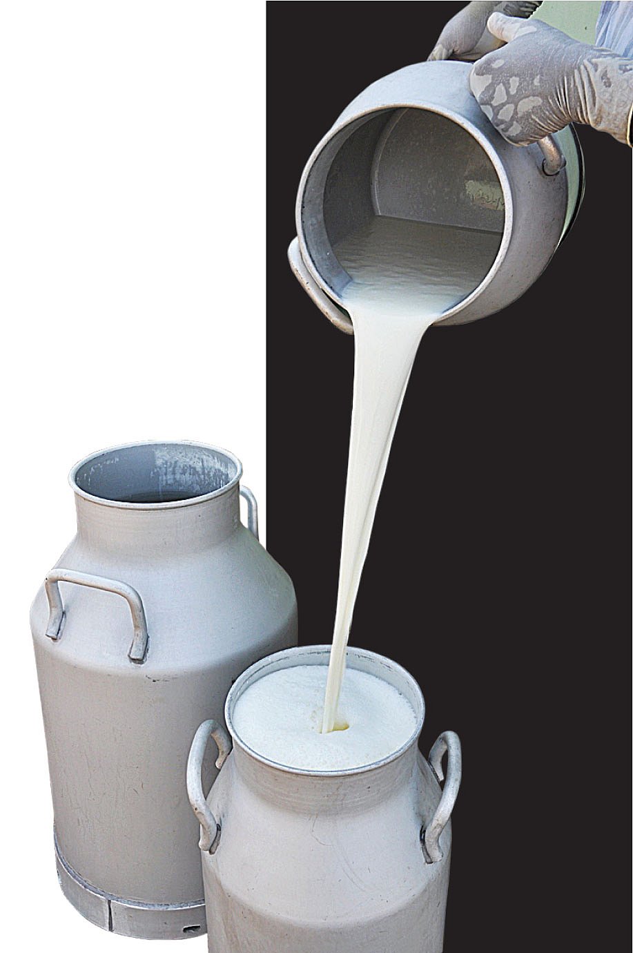 பண்டிகைக் காலத்தைக் குறிவைத்து நடக்கும் பால் ரெய்டுகள்! - பின்னணி என்ன ...