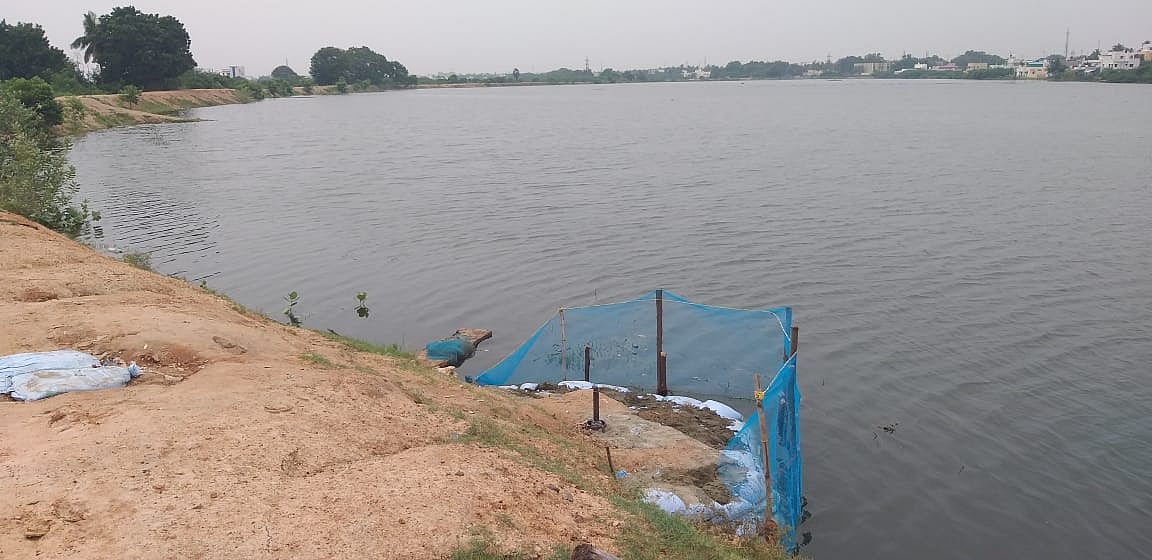 மதுரை: `ஓட்டுக்காகக் கண்மாய் நீரைத் தடுக்கும் தி.மு.க எம்.எல்.ஏ ...