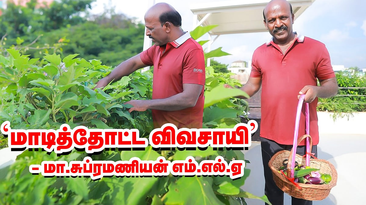 `மாடித்தோட்ட விவசாயி' மா.சுப்பிரமணியன் எம்.எல்.ஏ #Video | Spot visit to ...