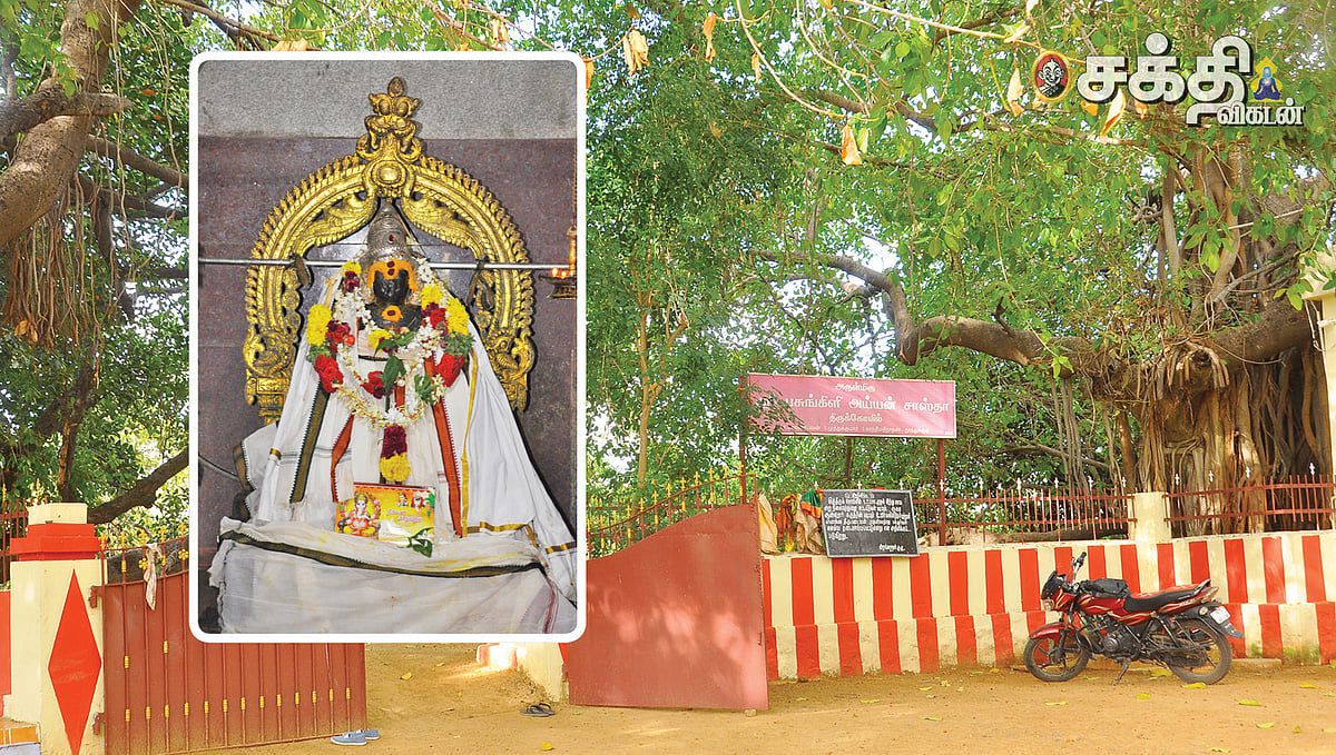 Sakthi Vikatan - 15 December 2020 - பிள்ளை வரம் அருளும் ஸ்ரீபசுங்கிளி ...