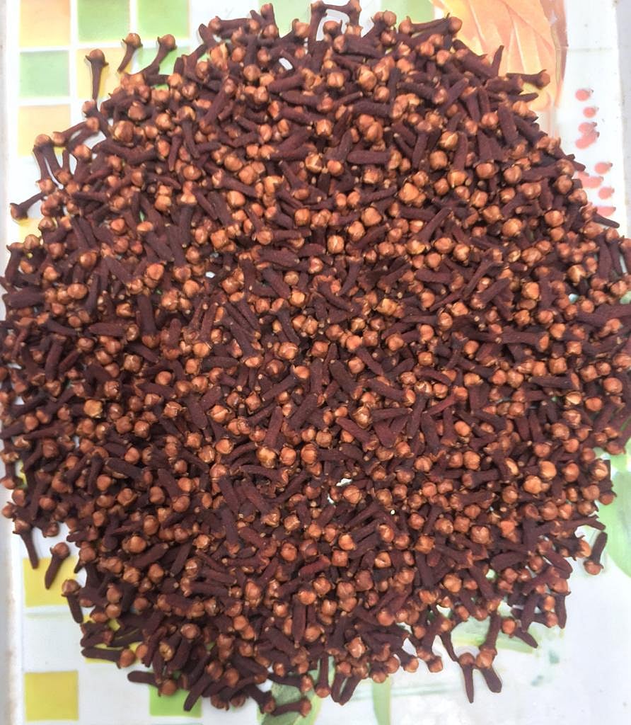 புவிசார் குறியீடு பெற்ற `கன்னியாகுமரி கிராம்பு'; இதன் சிறப்பு என்ன ...