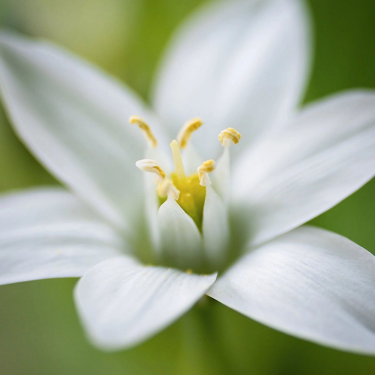 புத்தம் புது காலை : 'குலேபகாவலி' கதையும், ஓர் ஆண்டுக்கு ஒரு முறை ...