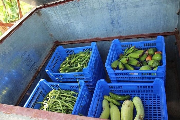 `இனி காய்கறி, பழங்களை எளிதாக சேமிக்கலாம்!' - விவசாயிகளுக்காக மாணவர்கள் ...