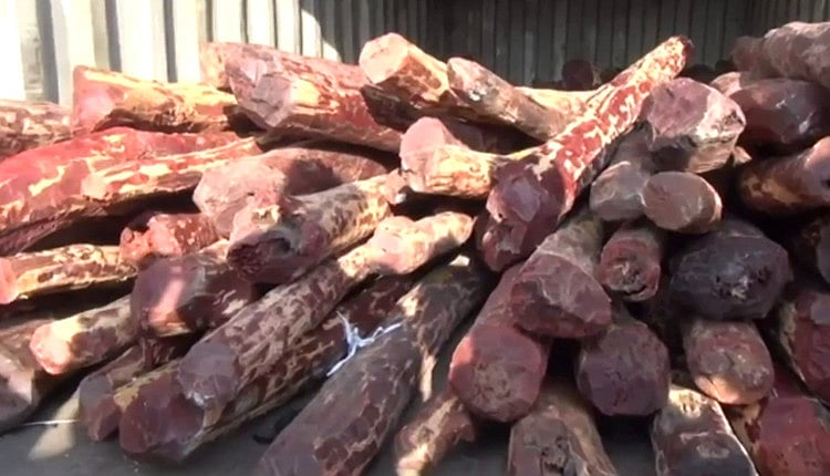 ’ரெடிமேட் ஆடைகள்’ எனச் சொல்லி செம்மரக்கட்டைகள் கடத்த முயற்சி; பறிமுதல் ...