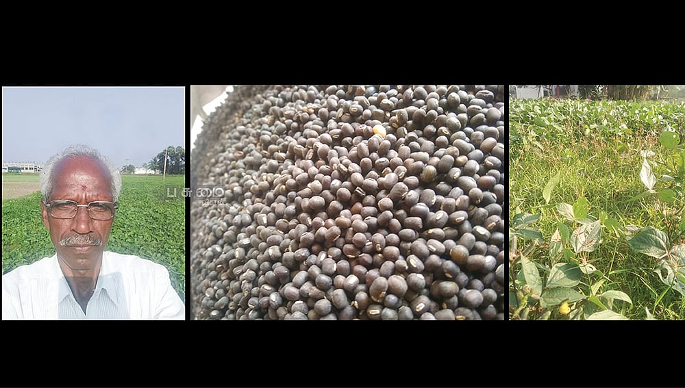 Pasumai Vikatan - 25 March 2022 - கூடுதல் மகசூல் கொடுக்கும் தெளிப்பு ...