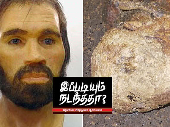 Lindow Man | Lindow Man Latest Tamil News Updates, Videos, Photos | Vikatan