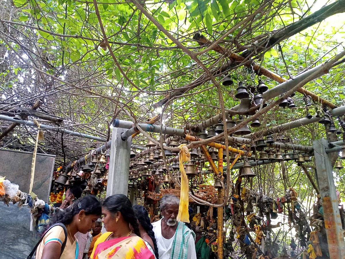 the-myths-and-facts-surrounding-the-famous-tirupattur-pappathi-amman-temple