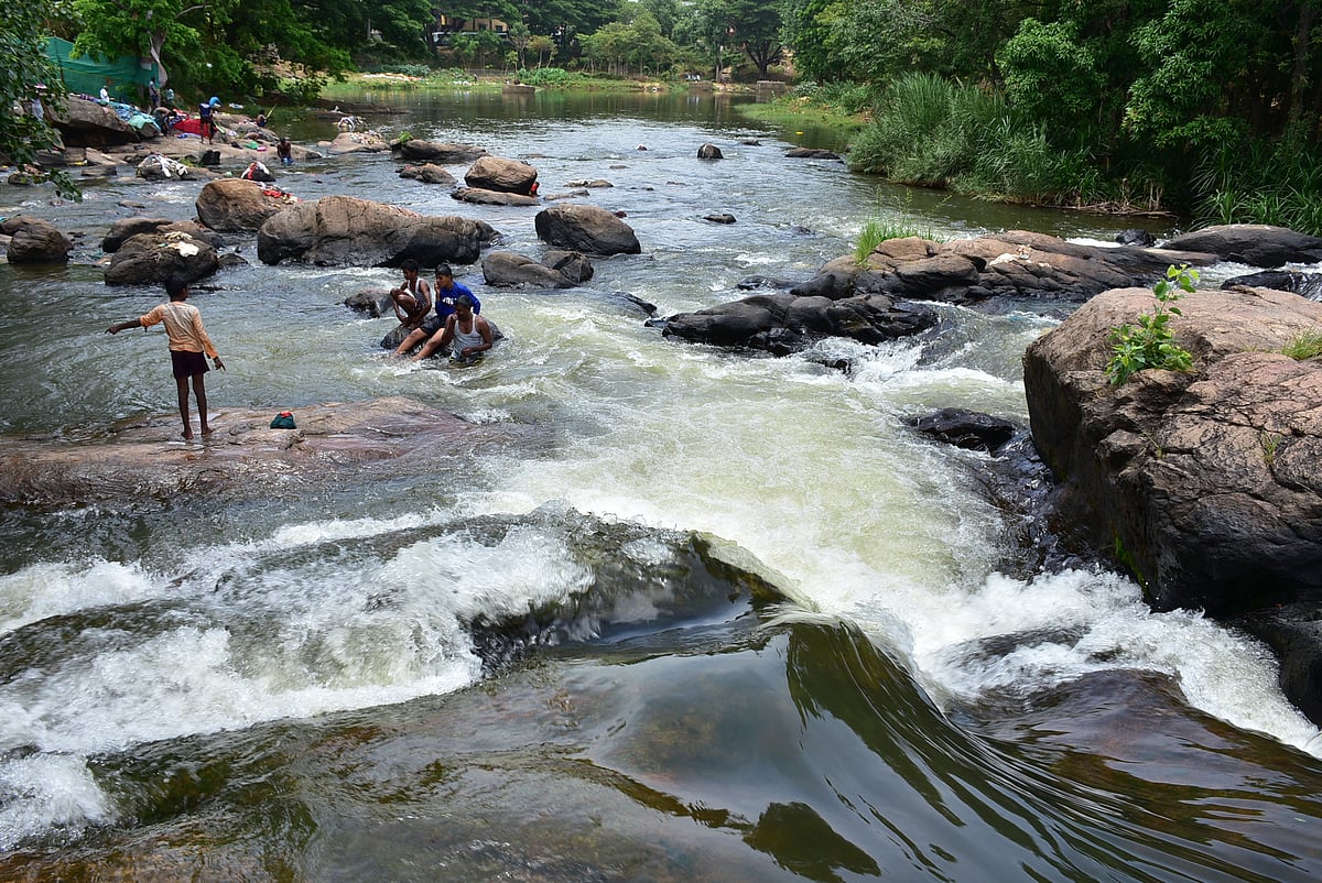 தற்சார்பு வாழ்வியல் பயிற்சி... சில சந்தேகங்களும் விளக்கங்களும்! #FAQ I ...