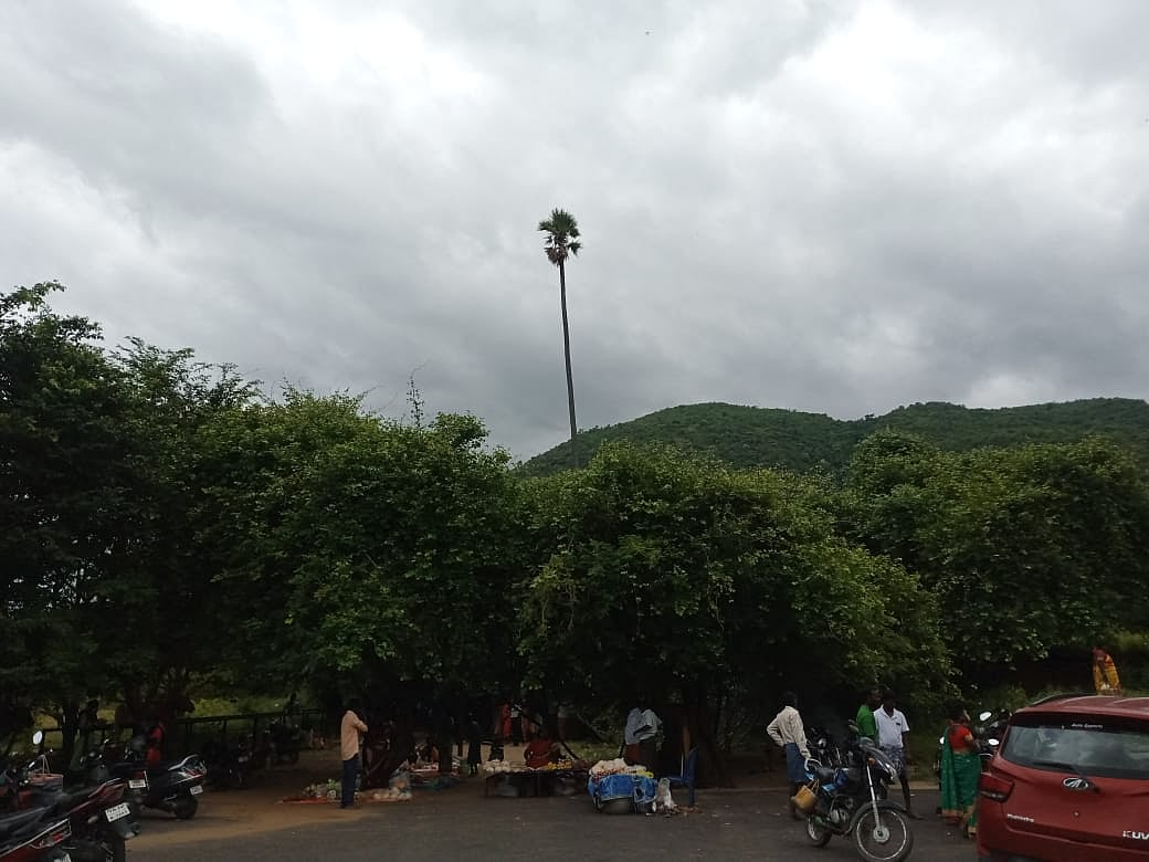 the-myths-and-facts-surrounding-the-famous-tirupattur-pappathi-amman-temple