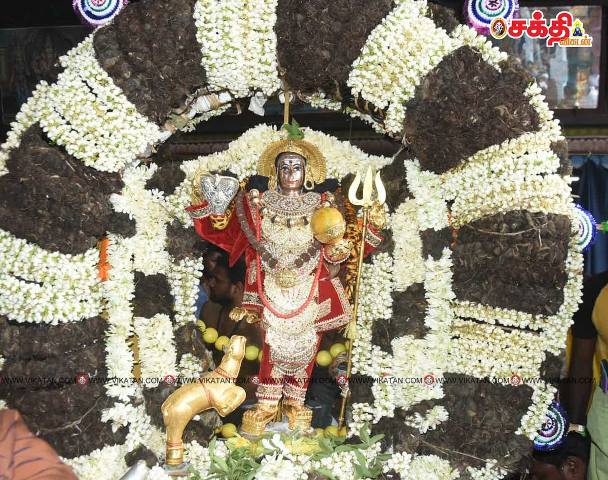 காரைக்காலில் நடைபெற்ற மாங்கனி திருவிழா |Photo Album |photo story about ...