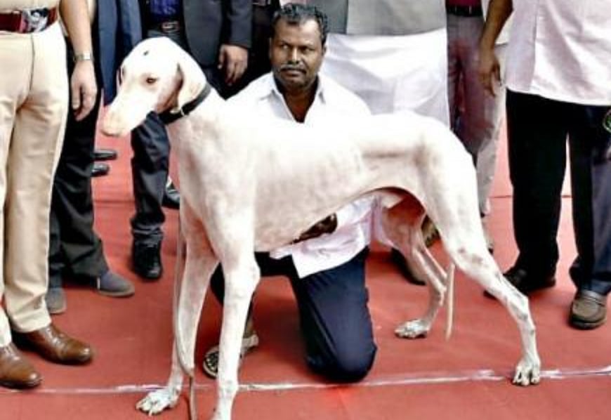 பிரதமர் மோடிக்கு அளிக்கும் SPG பாதுகாப்பு... முதல்முறையாக நாட்டு நாய் ...