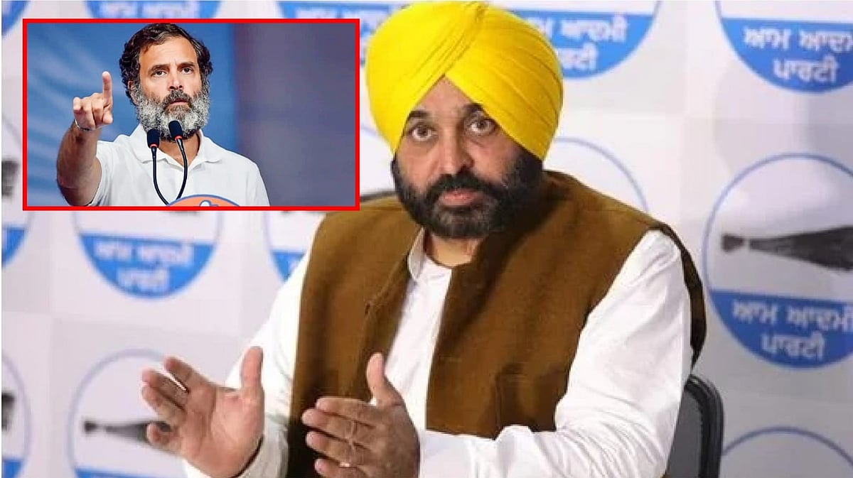 ``காங்கிரஸ் கட்சி கோமாவில் இருக்கிறது" - ராகுல் காந்தியின் பேச்சுக்கு ...