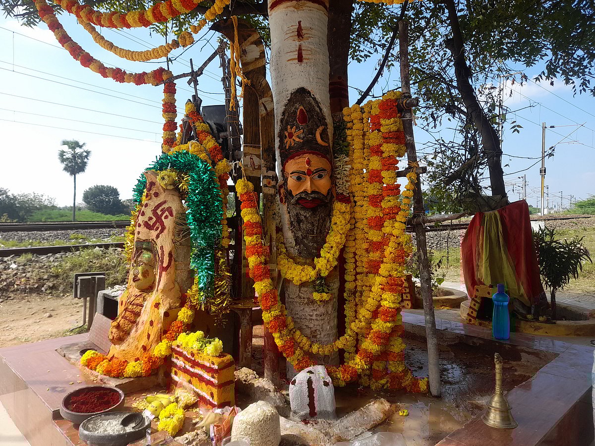 ரயில் பாதையைத் தள்ளிவைத்த ஒத்த பனை ஜடா முனீஸ்வரர் - வேலூரில் அதிசய ...