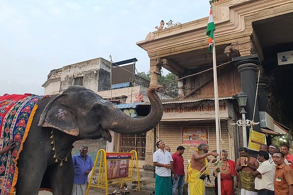 தேசியக்கொடி ஏற்றிய ‘காந்திமதி’ யானை! - நெல்லையில் நடந்த குடியரசு தினக் ...