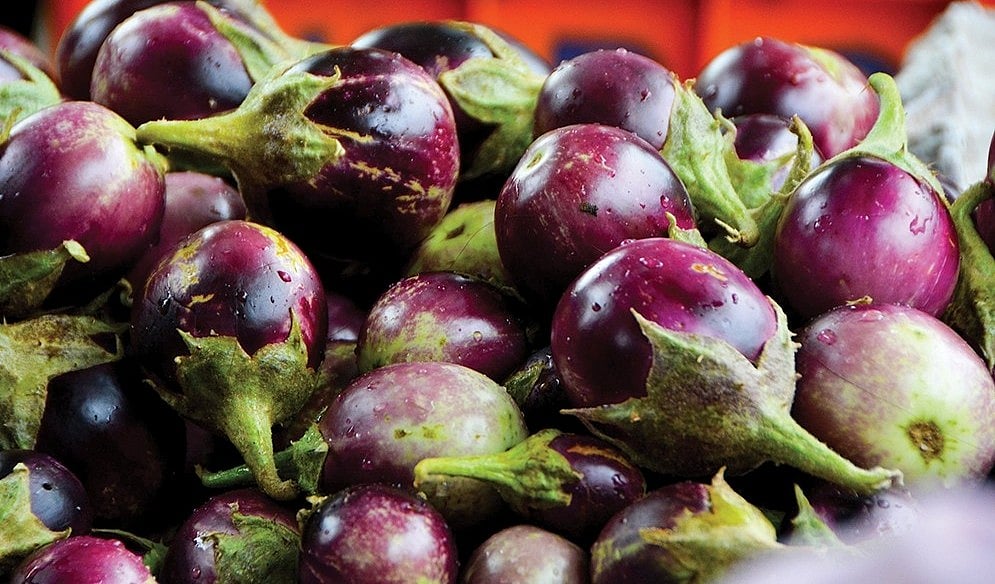 இலவம்பாடி முள் கத்திரிக்காய்க்கு புவிசார் குறியீடு! -ஜனாதிபதி, முதல்வர் ...