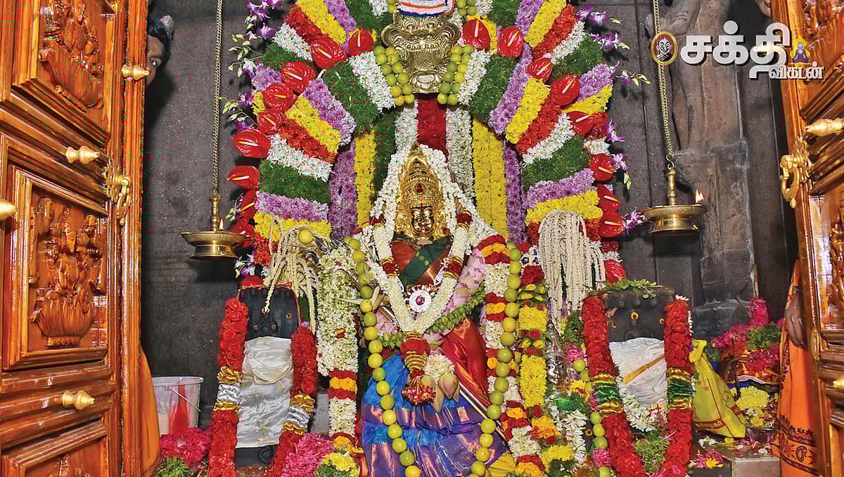 Sakthi Vikatan - 21 February 2023 - ராக்காயி அம்மன், காஷ்யப ...